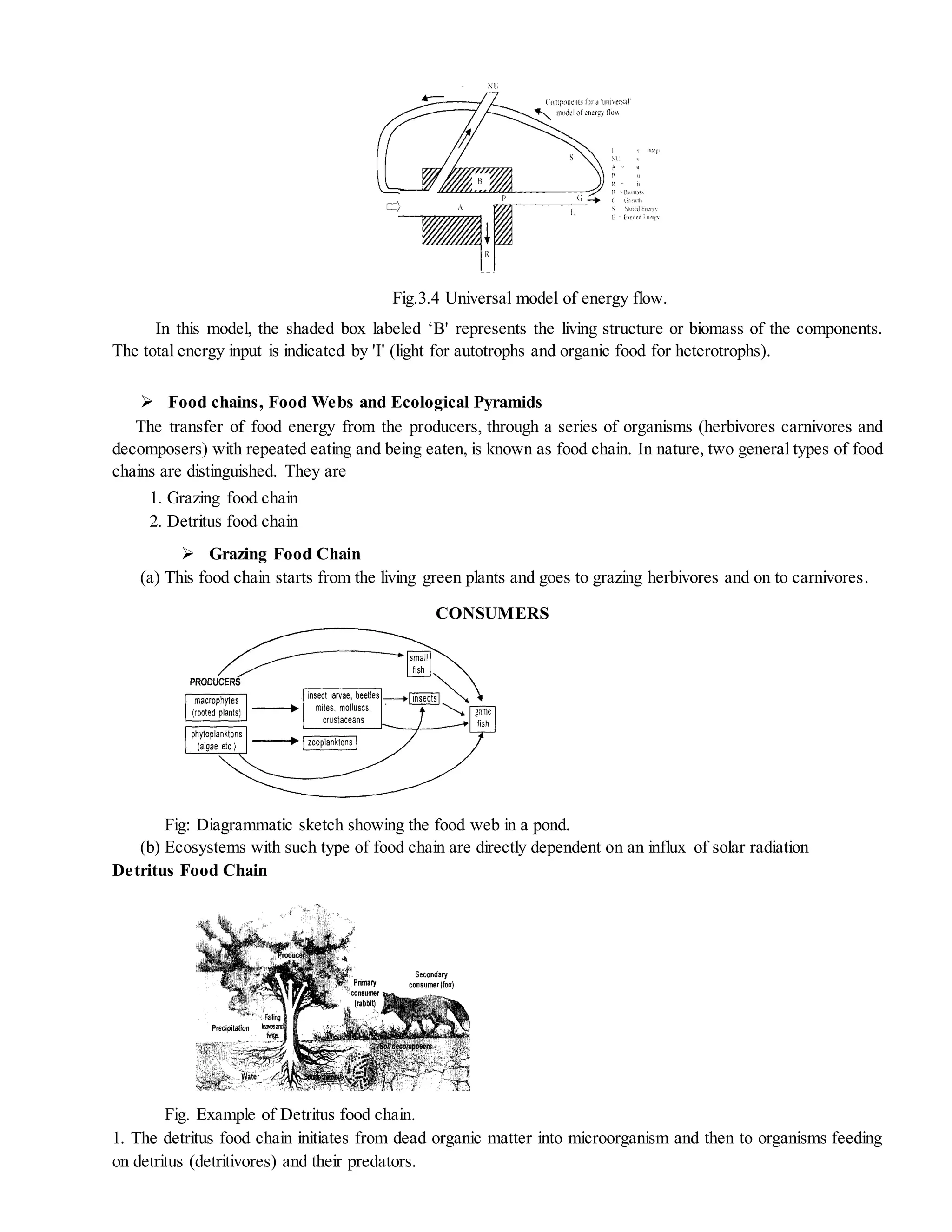 Unit i ecosystem | DOC | Physics | Science