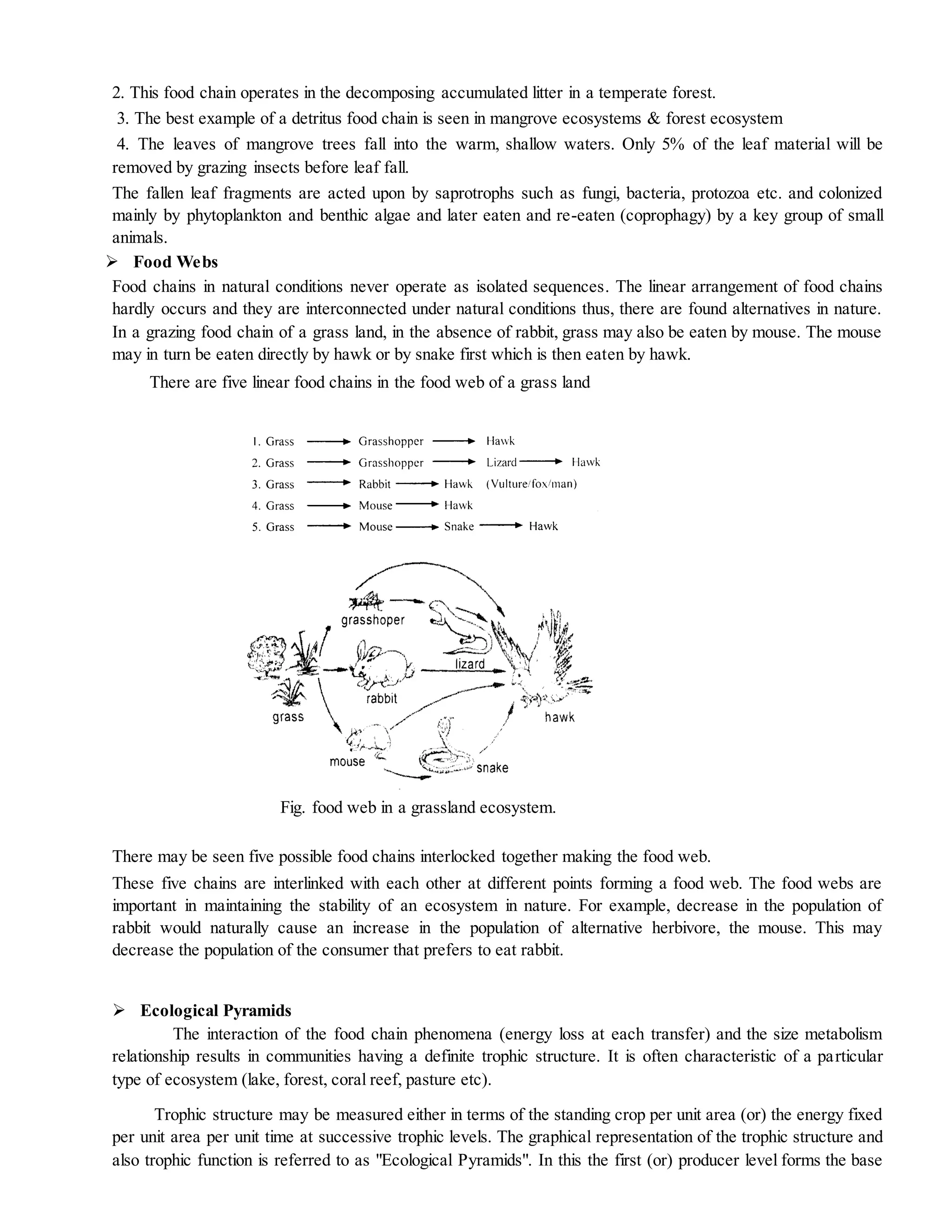 Unit i ecosystem | DOC | Physics | Science
