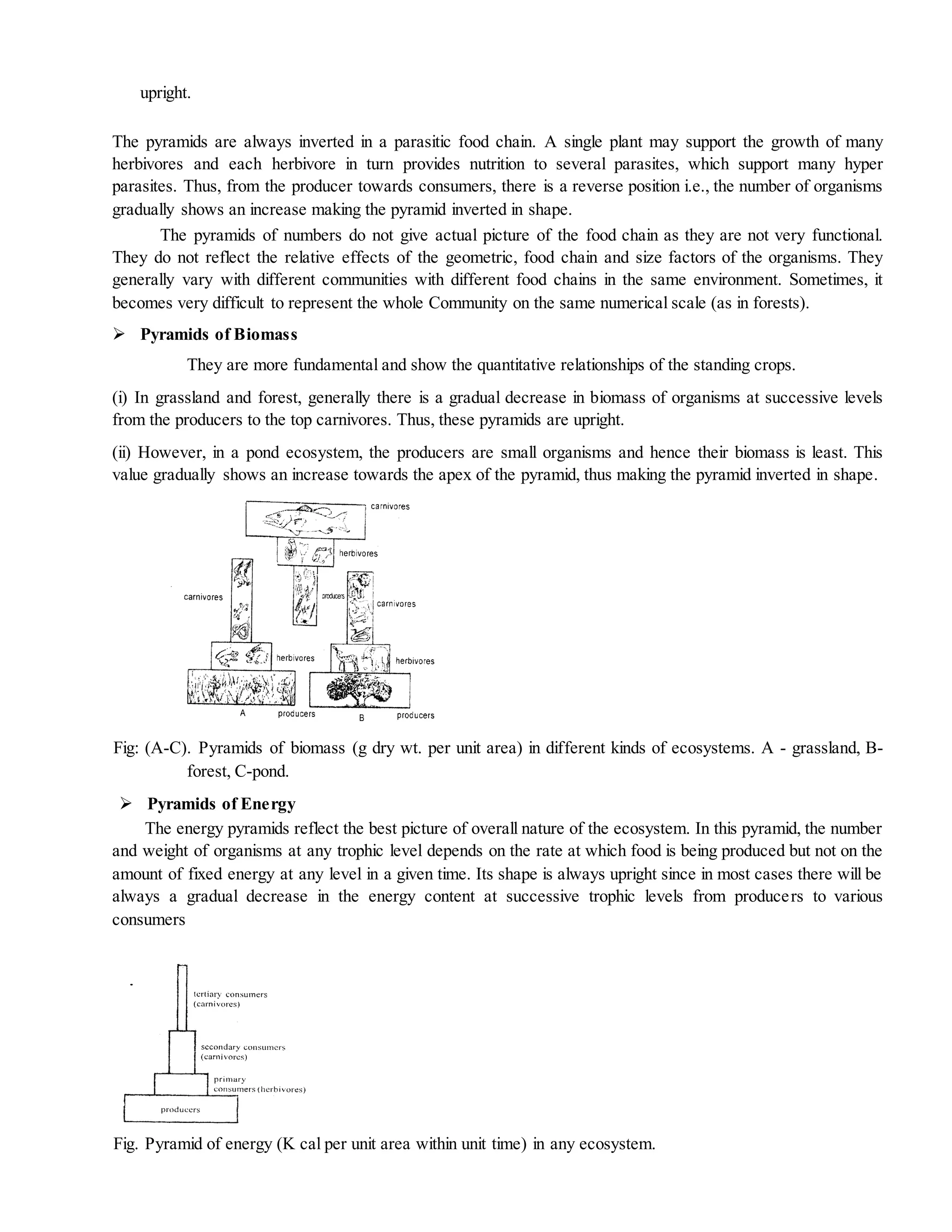 Unit i ecosystem | DOC | Physics | Science