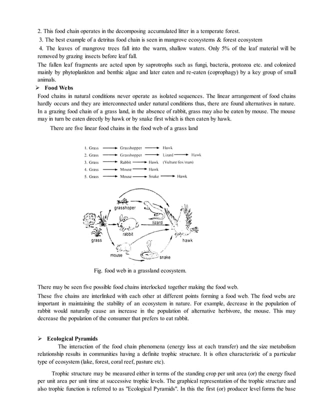 Unit i ecosystem | PDF