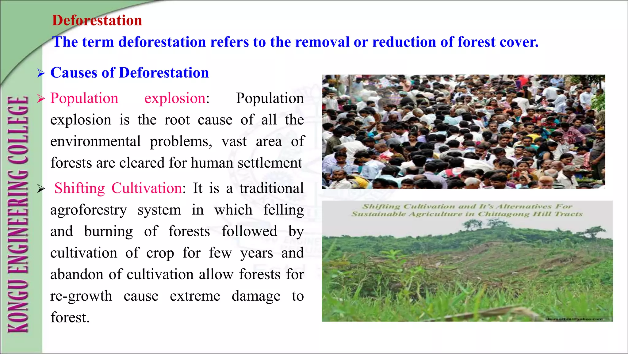 Environmental Science - Forest Resources | PPT