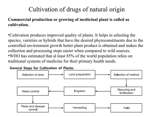 Cultivation and Collection of drugs of natural origin.pptx