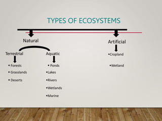Unit - II - Eco Systems.ppt