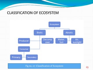 Unit - II - Eco Systems.ppt