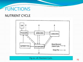 Unit - II - Eco Systems.ppt