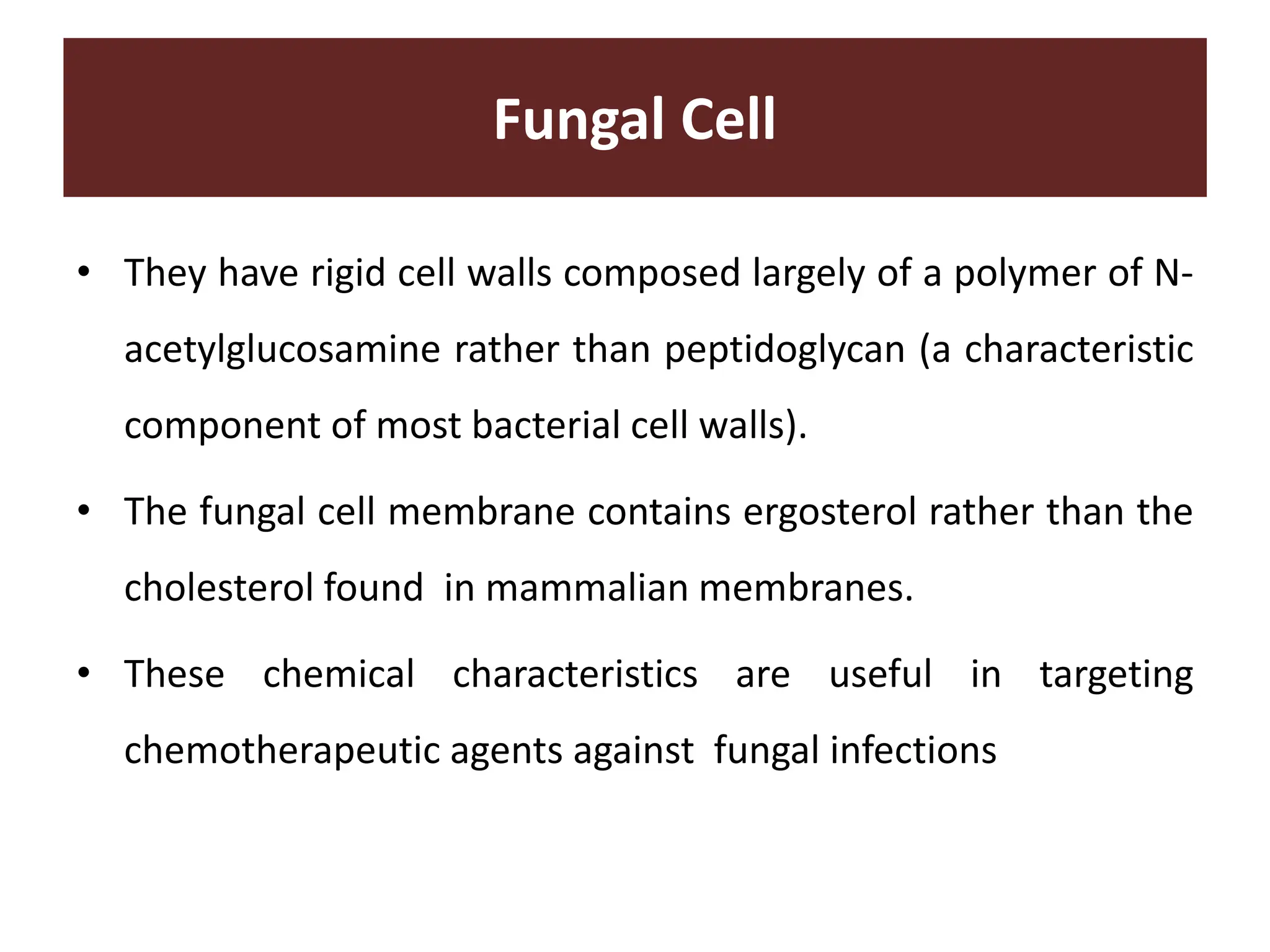 Unit-II Anti-fungal Drugs By Aurangzeb.pdf | Skin and Dermatology ...
