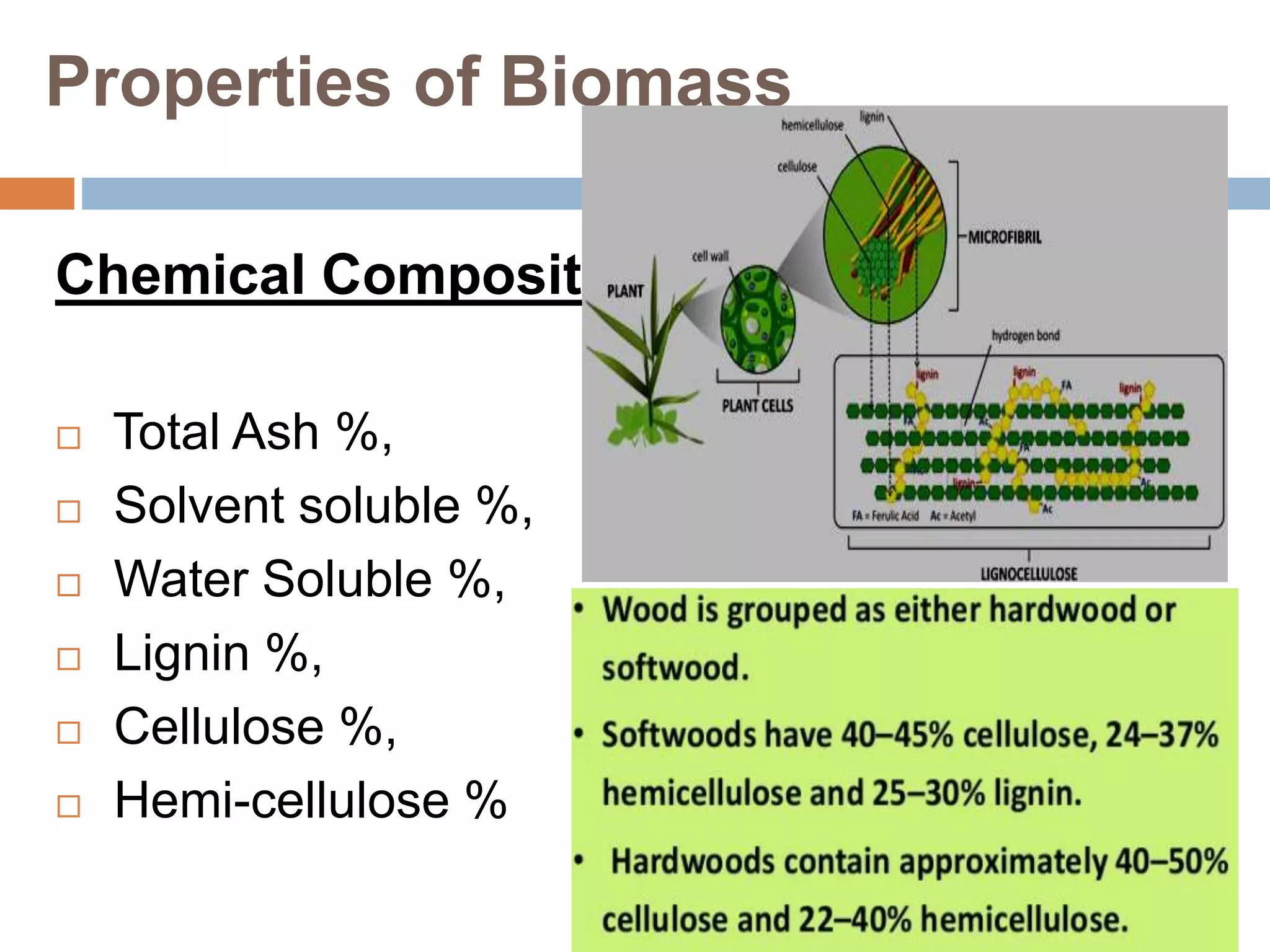 BioMass - Generation and Utilization | PPTX
