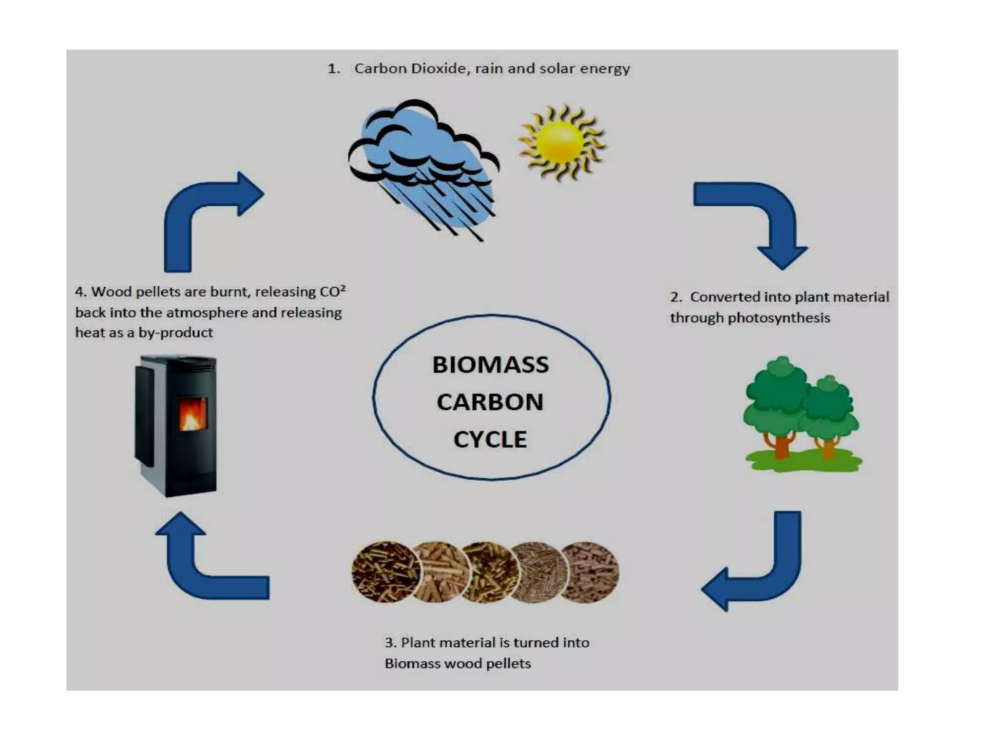 BioMass - Generation and Utilization | PPTX