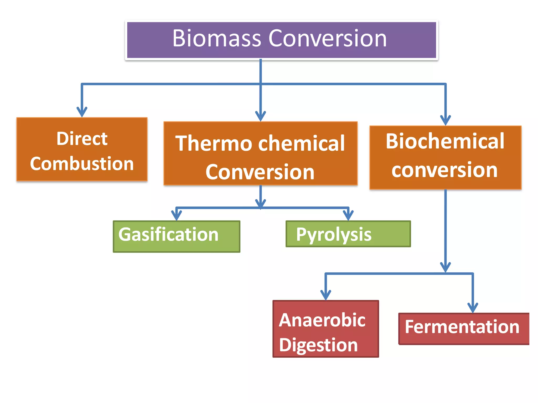 BioMass - Generation and Utilization | PPTX