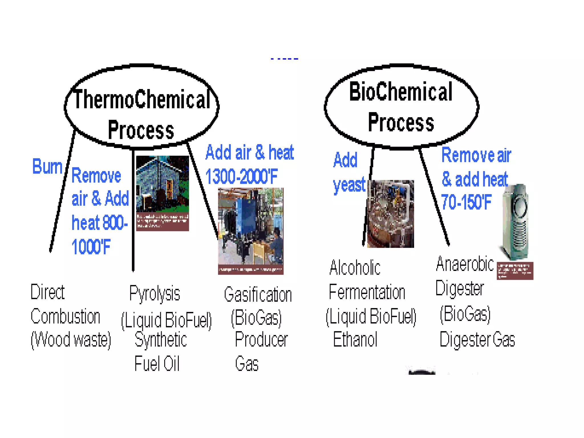 BioMass - Generation and Utilization | PPTX