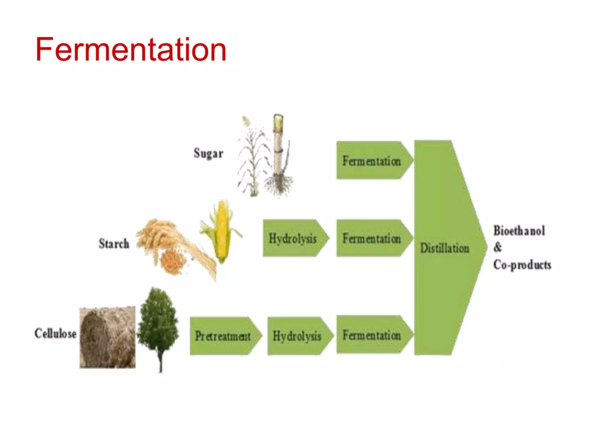 BioMass - Generation and Utilization | PPTX