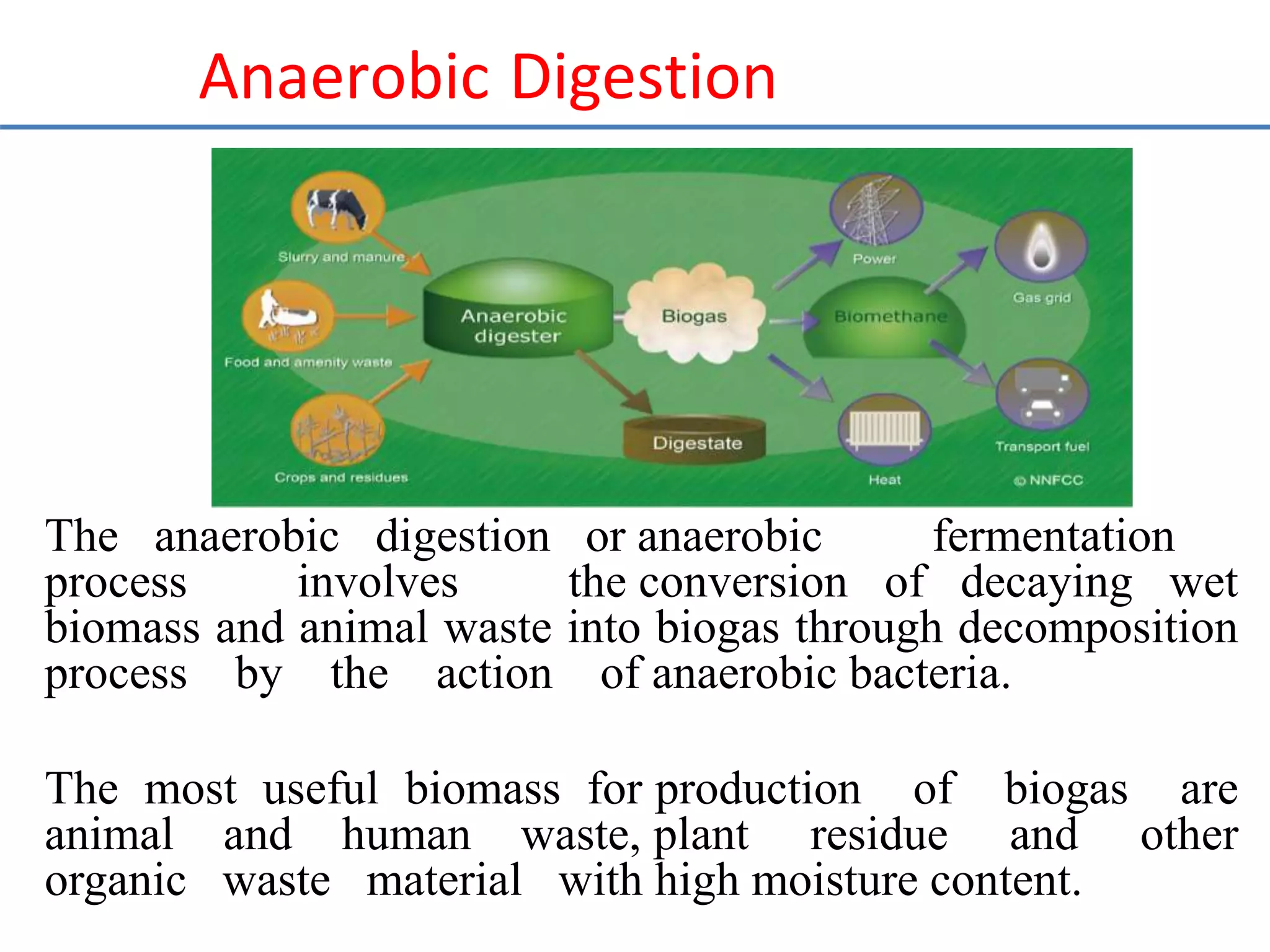 BioMass - Generation and Utilization | PPTX