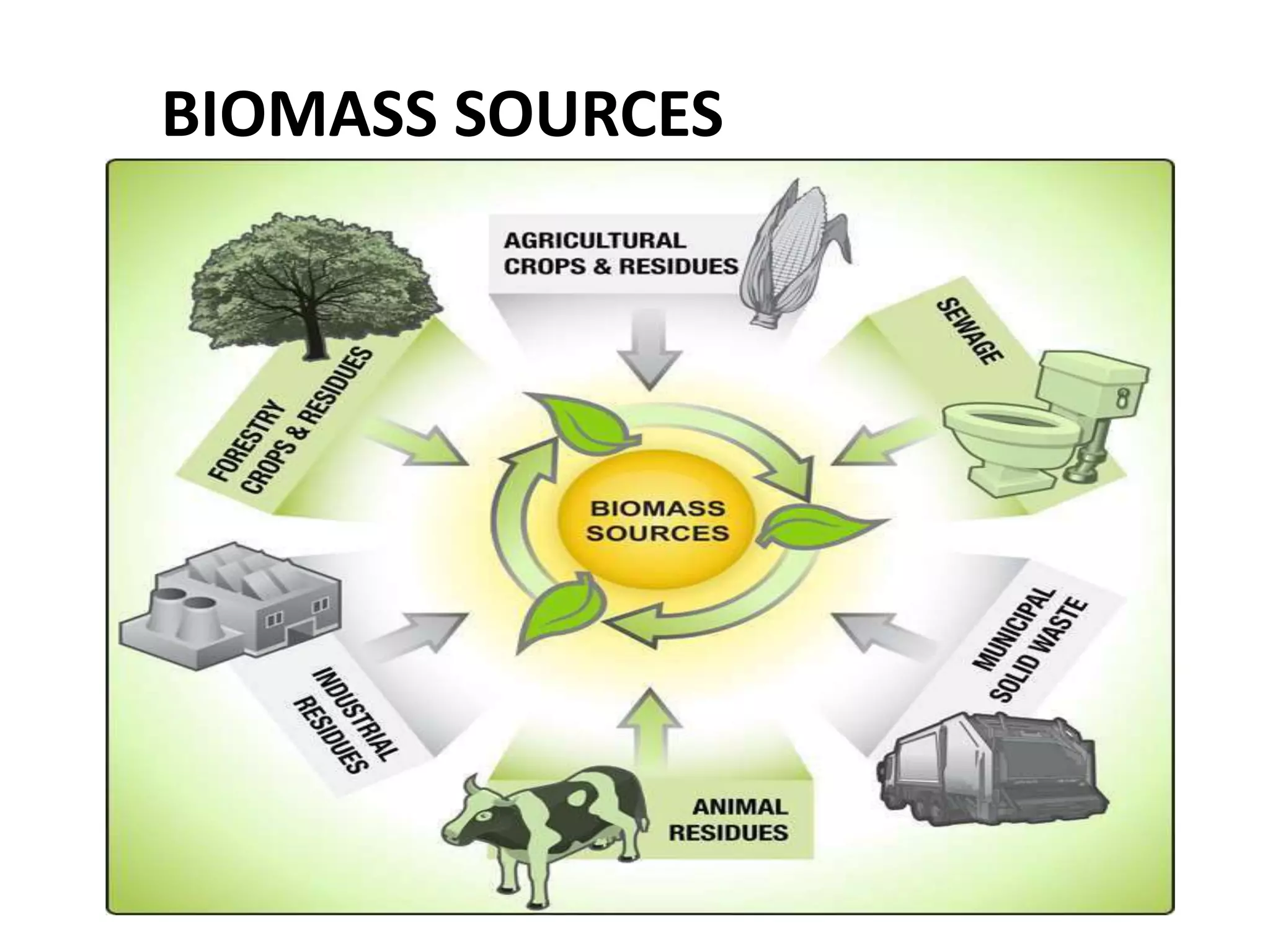BioMass - Generation and Utilization | PPTX