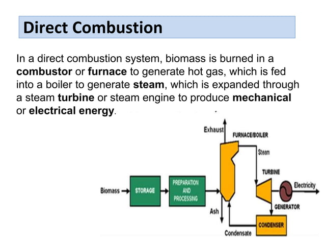 BioMass - Generation and Utilization | PPTX