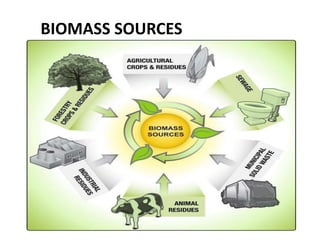 BioMass - Generation and Utilization | PPTX