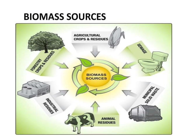 BioMass - Generation and Utilization | PPTX