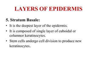 Unit II, Chapter-1-Integumentary System | PPTX