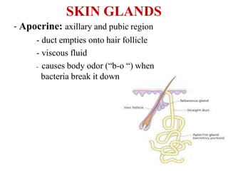 Unit II, Chapter-1-Integumentary System | PPTX