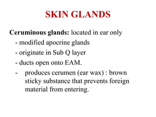 Unit II, Chapter-1-Integumentary System | PPTX