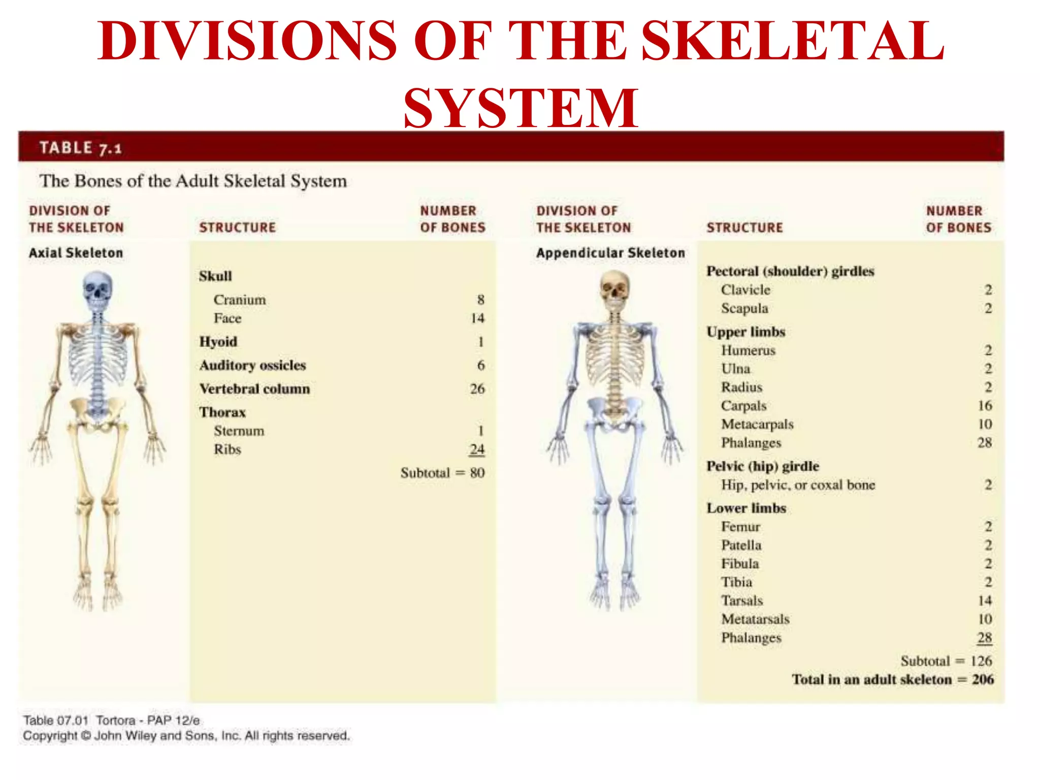 Unit ii, chapter-2- skeletal system | PPTX