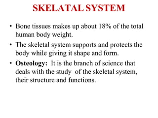 Unit ii, chapter-2- skeletal system | PPTX