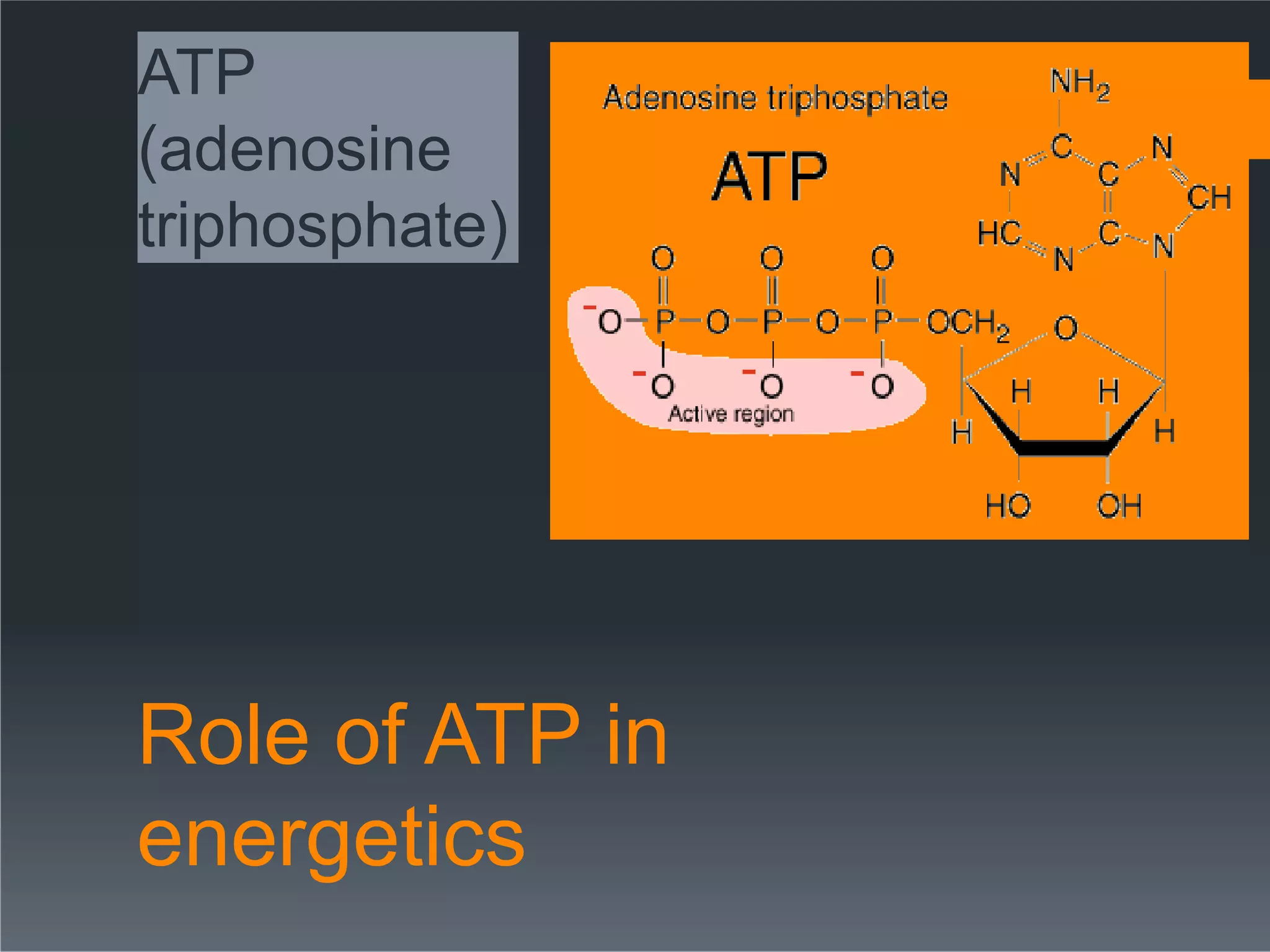 Unit-II, Chapter_1.1- ATP.ppt