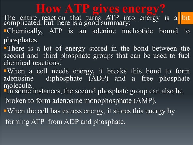 Unit-II, Chapter_1.1- ATP.ppt