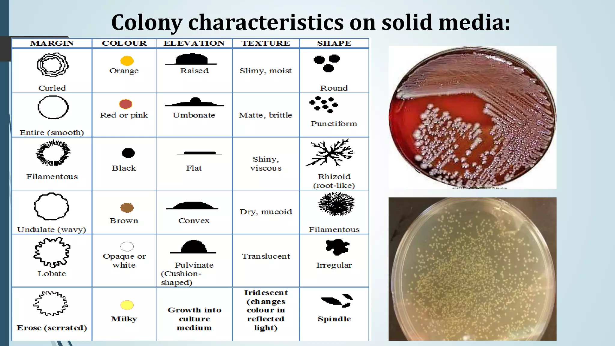Characteristics used in classification.pptx