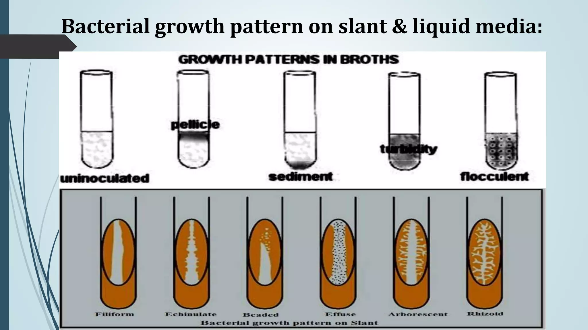Characteristics used in classification.pptx