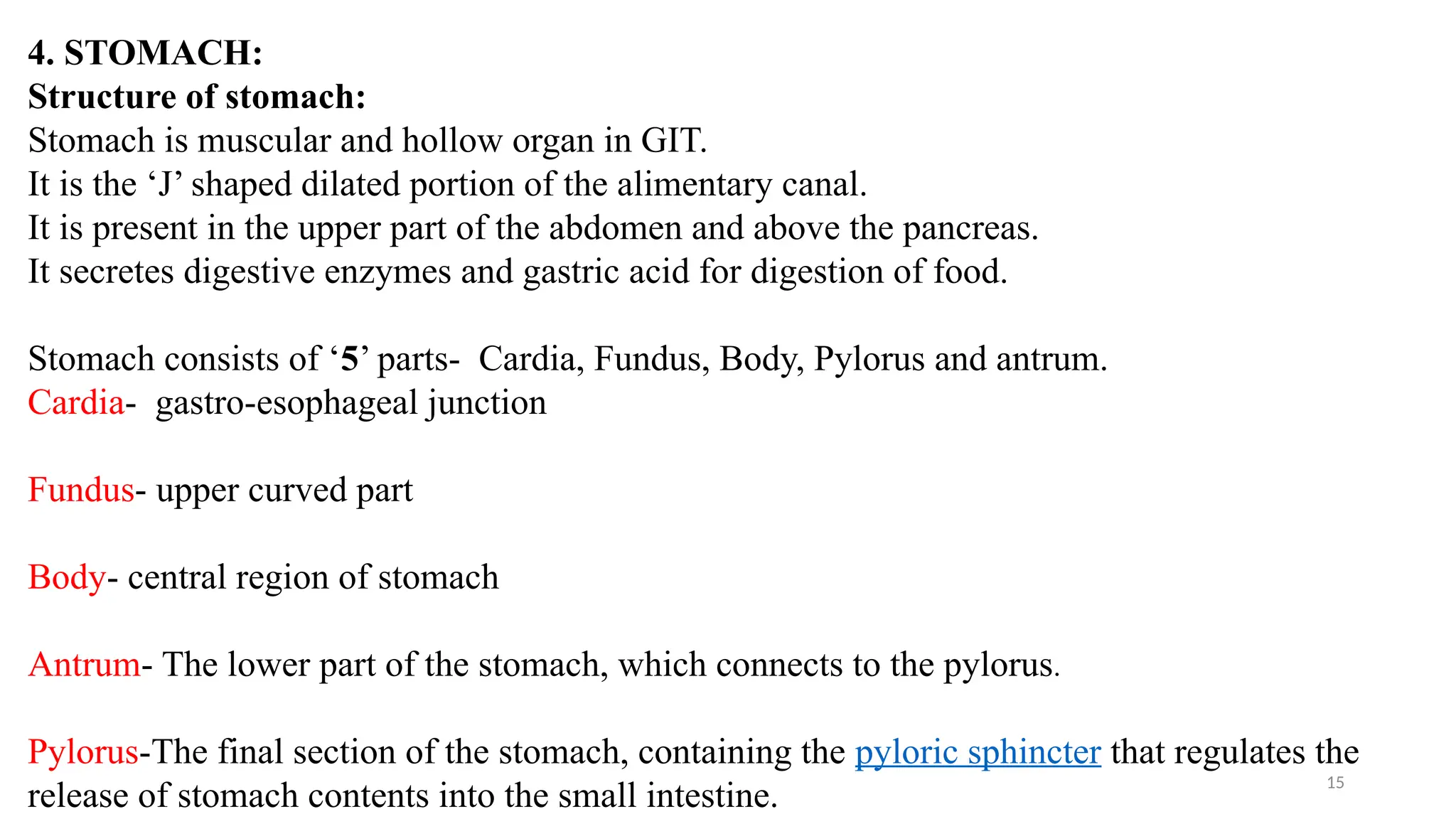 UNIT-II DIGESTIVE SYSTEM, stomach-PPT (1).pptx
