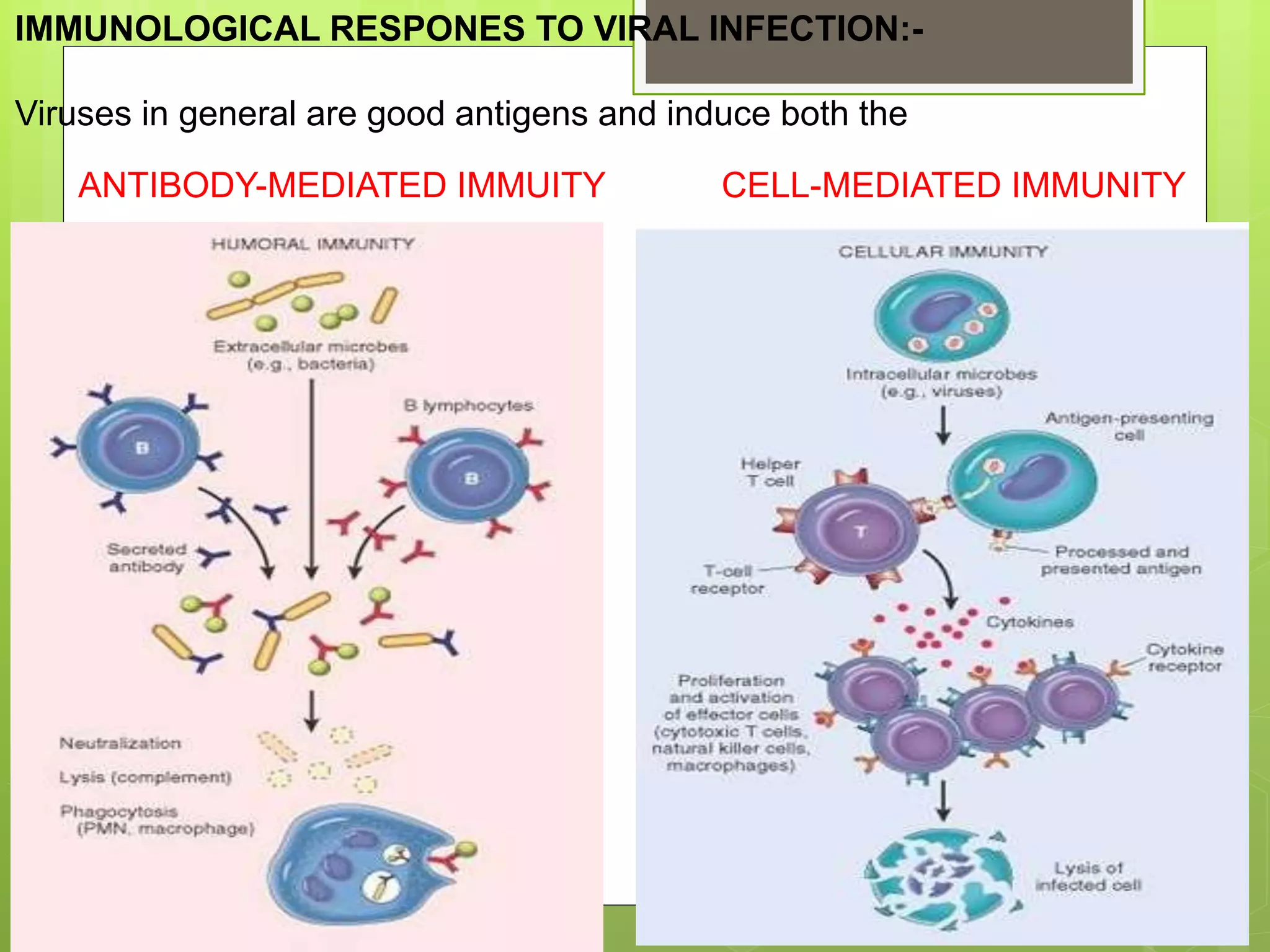 host and virus interaction | PPTX