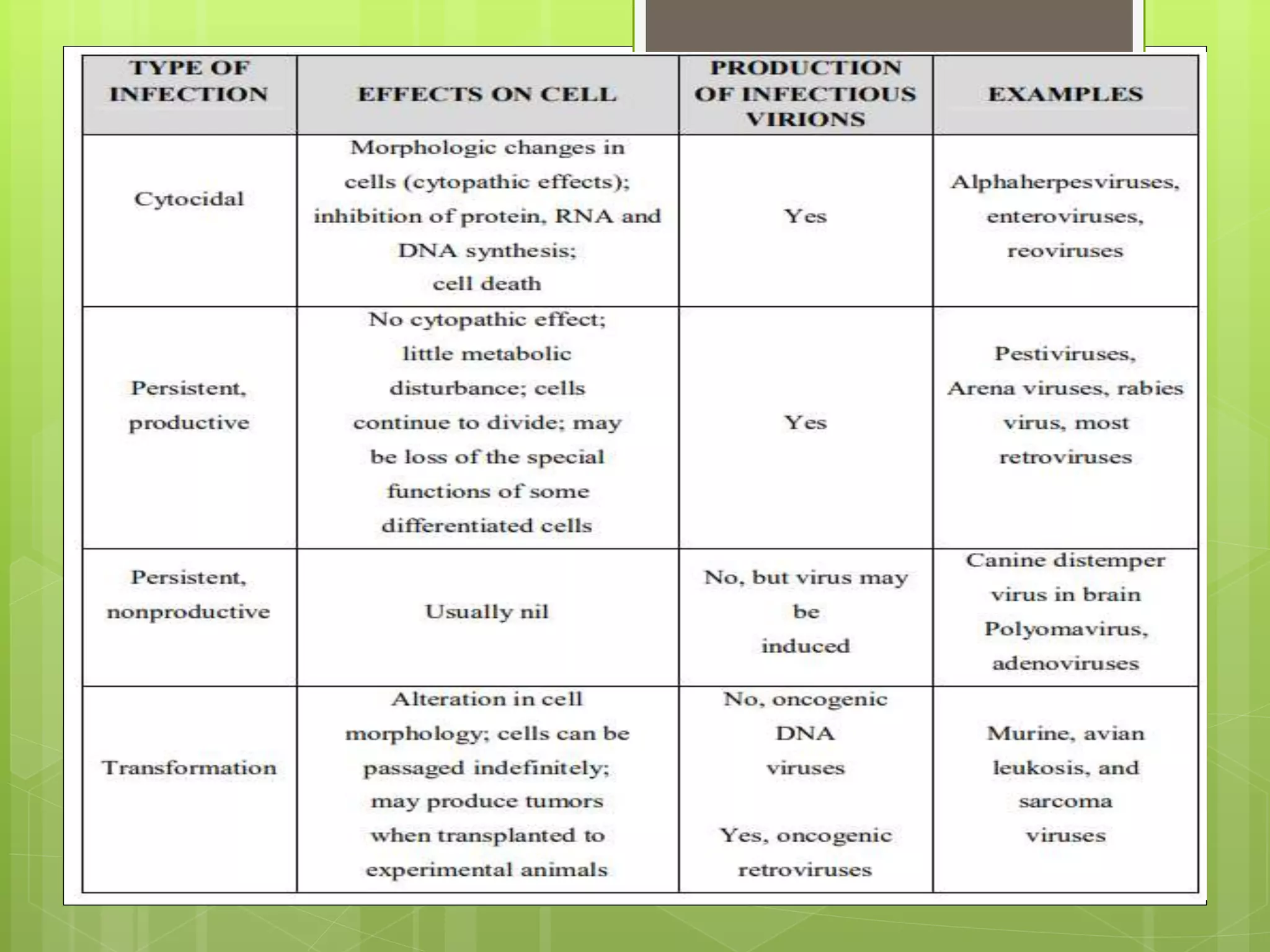 host and virus interaction | PPTX