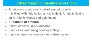 Extick anra Embryonic membrane in Chd Placenta in Mammals | PPTX