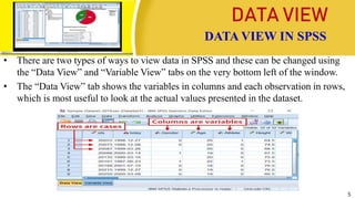 Data Coding and Data Management using SPSS | PPTX | Computing | Technology & Computing
