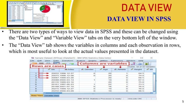 Data Coding And Data Management Using Spss Pptx Computing