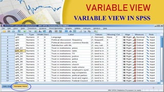 Data Coding and Data Management using SPSS | PPTX | Computing | Technology & Computing