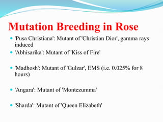 Breeding methods uitable for sexually and asexually propagated flower ...