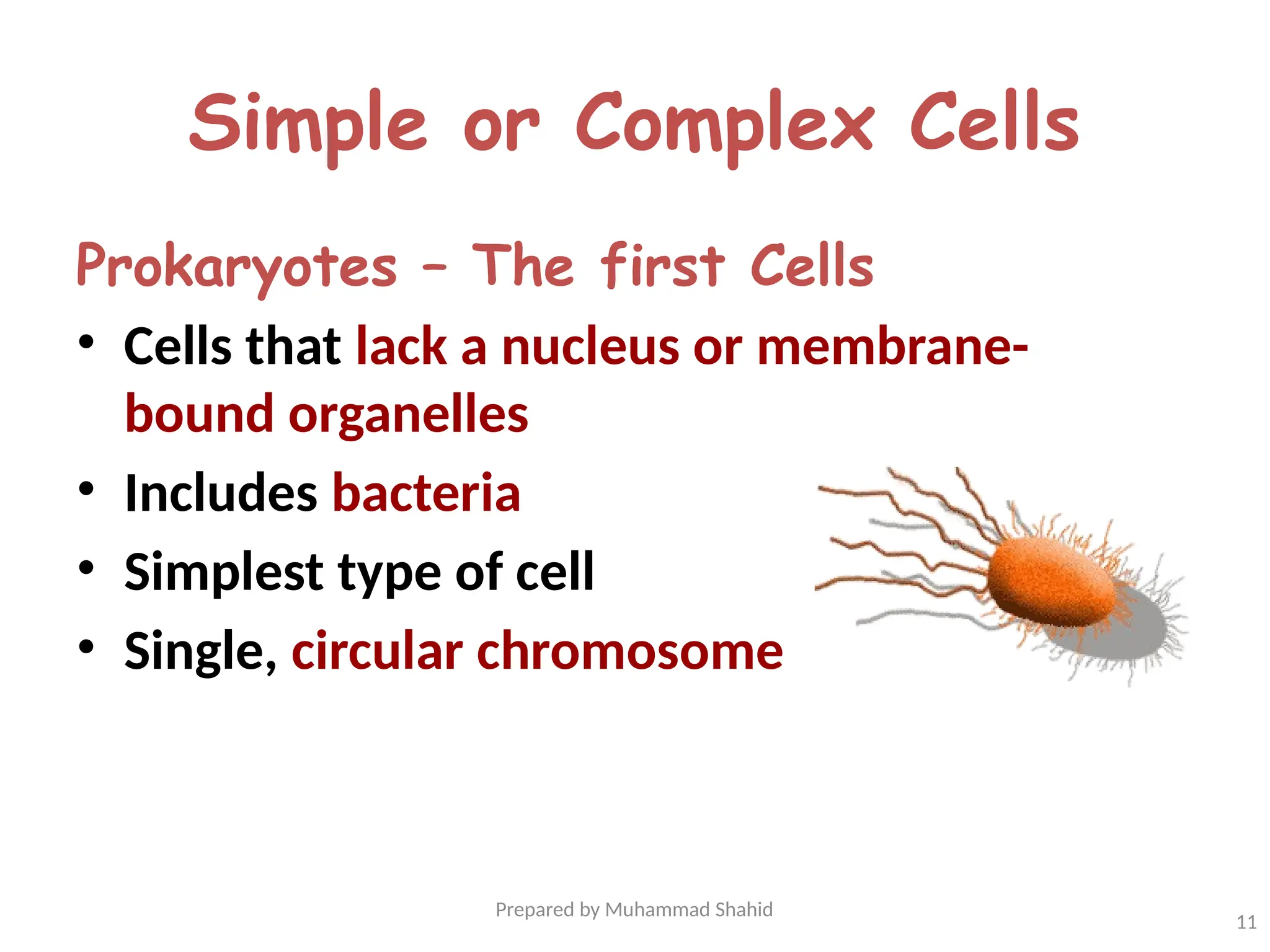 Anatomy and physiology of Cell, structure, cell cycle | PPTX