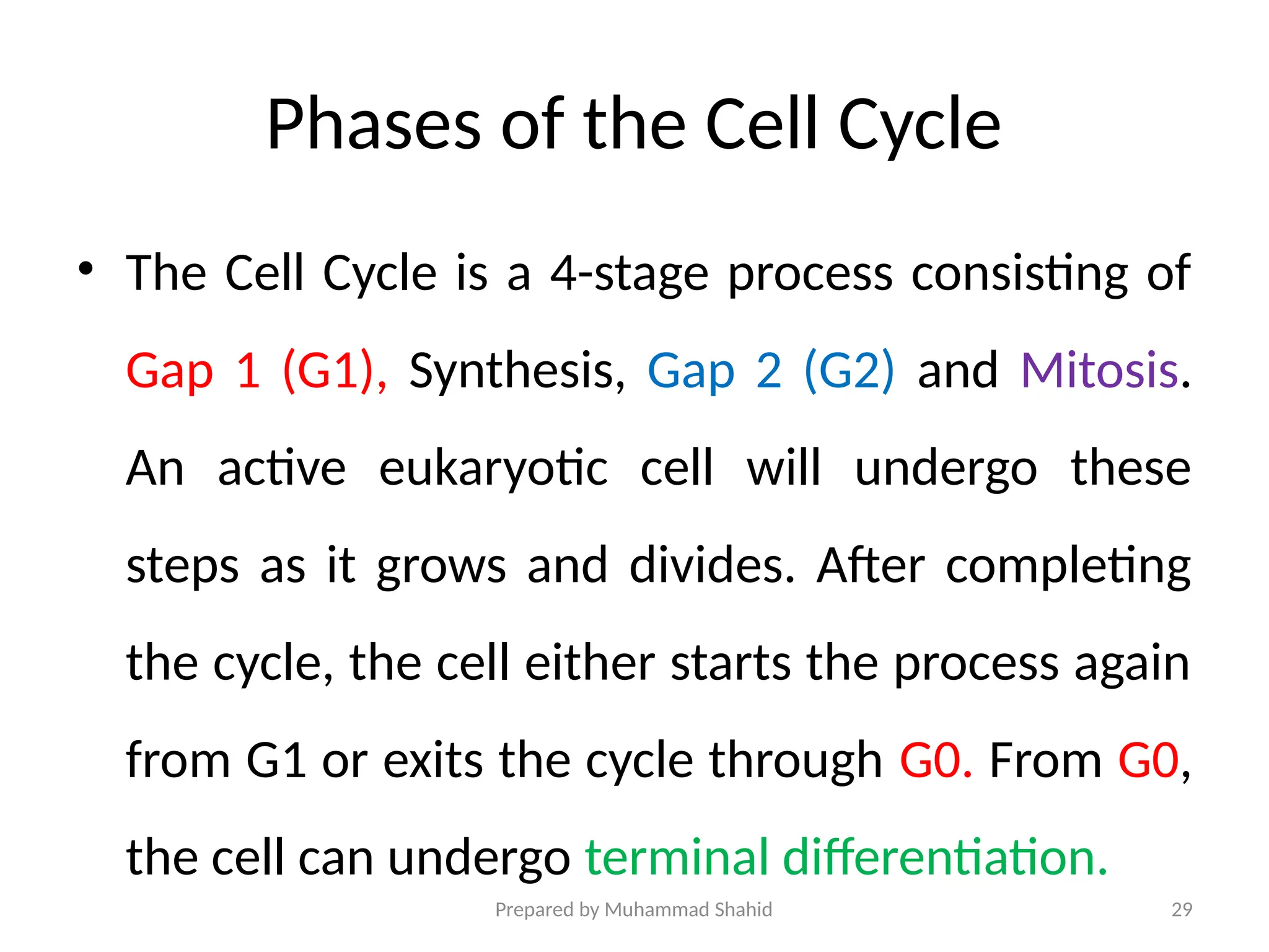 Anatomy and physiology of Cell, structure, cell cycle | PPTX