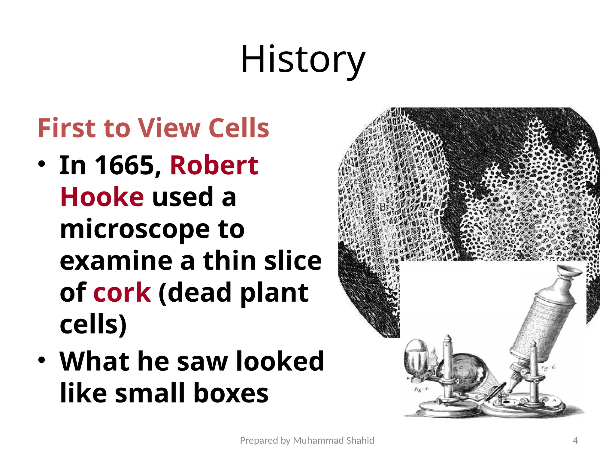 Anatomy and physiology of Cell, structure, cell cycle | PPTX