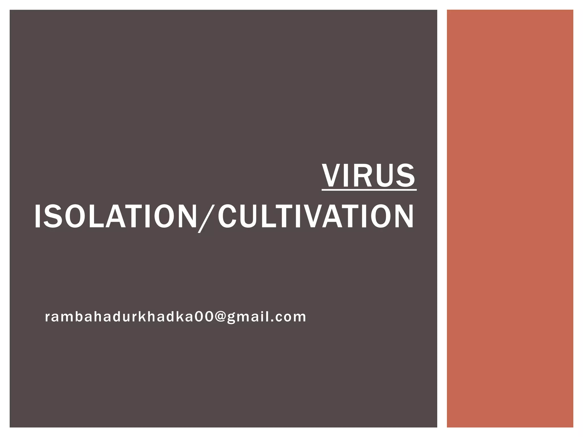VIRUS ISOLATION | PPTX