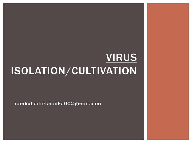 VIRUS ISOLATION | PPTX