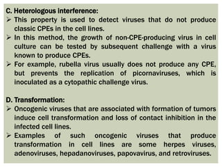 VIRUS ISOLATION | PPTX