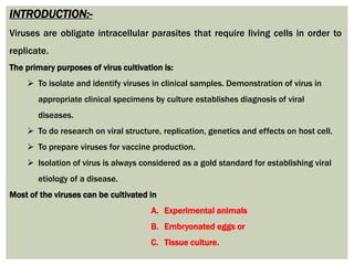 VIRUS ISOLATION | PPTX