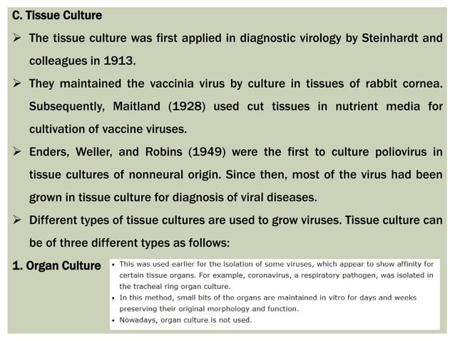 VIRUS ISOLATION | PPTX