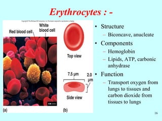 Unit III, chapter-1-Body fluids and Blood | PPT