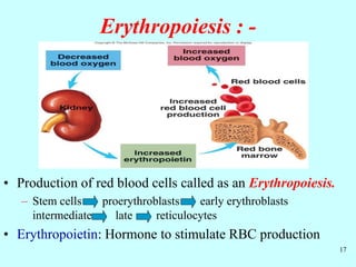 Unit III, chapter-1-Body fluids and Blood | PPT