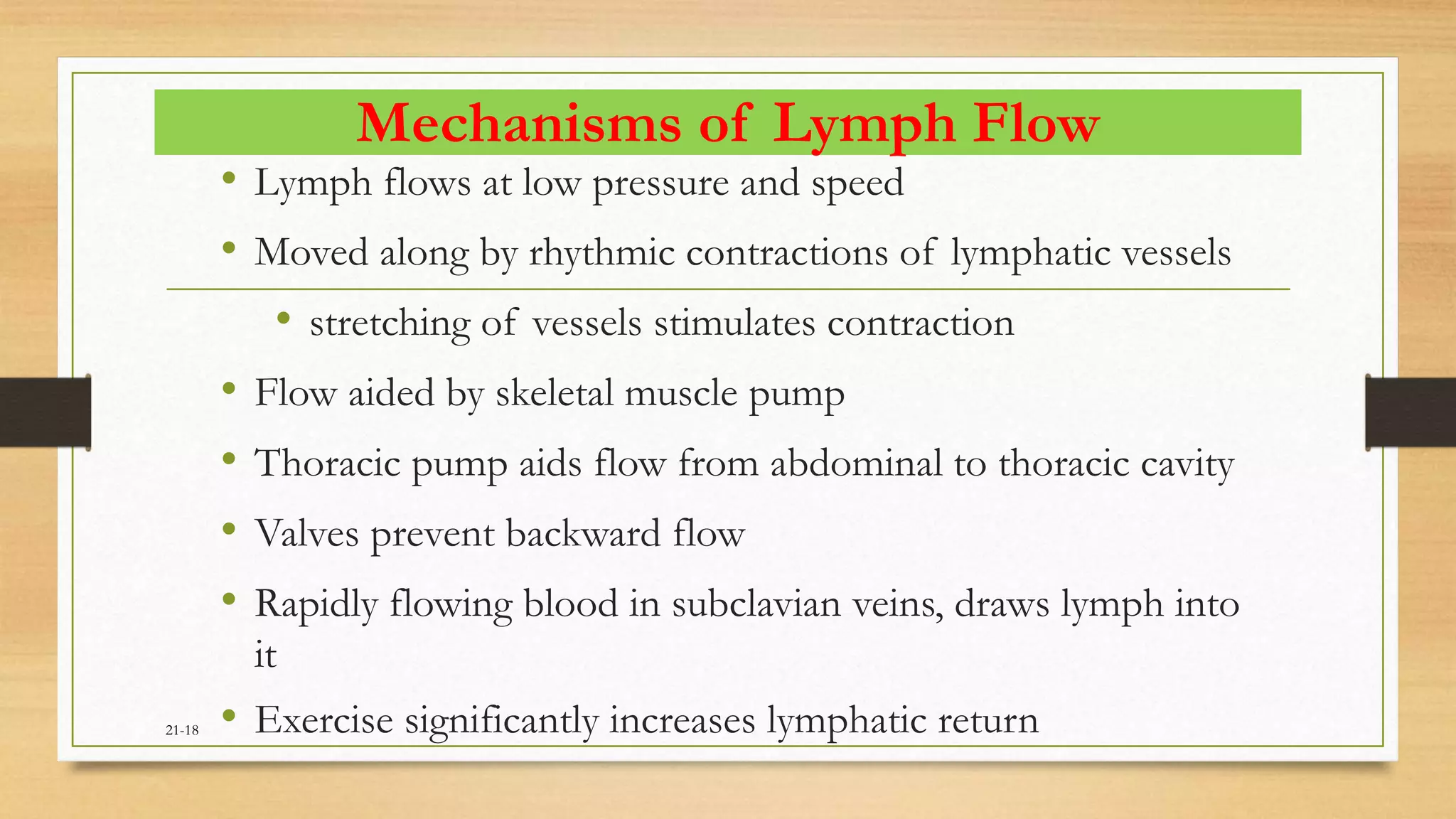 Lymphatic System | PPT