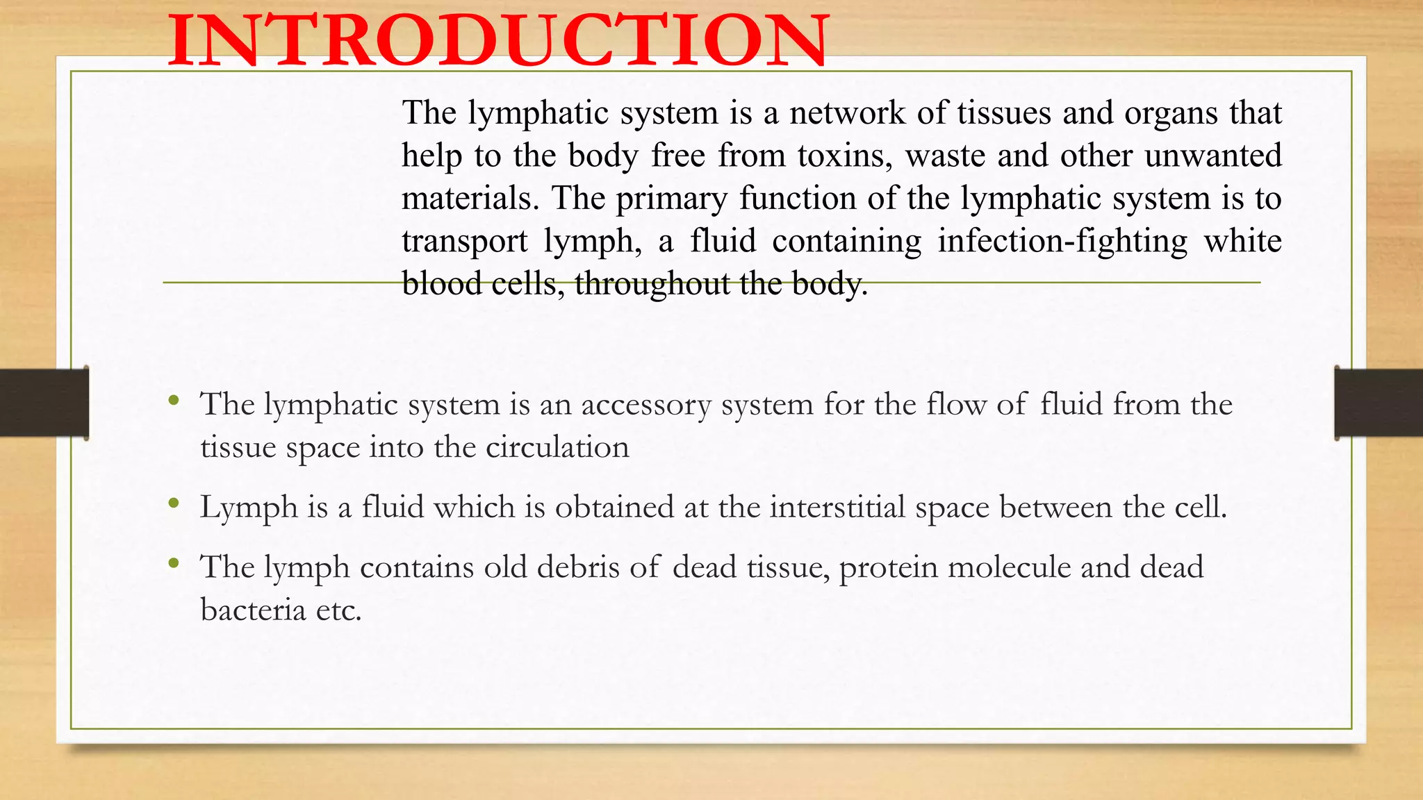 Lymphatic System | PPT