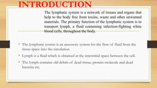 Lymphatic System | PPT